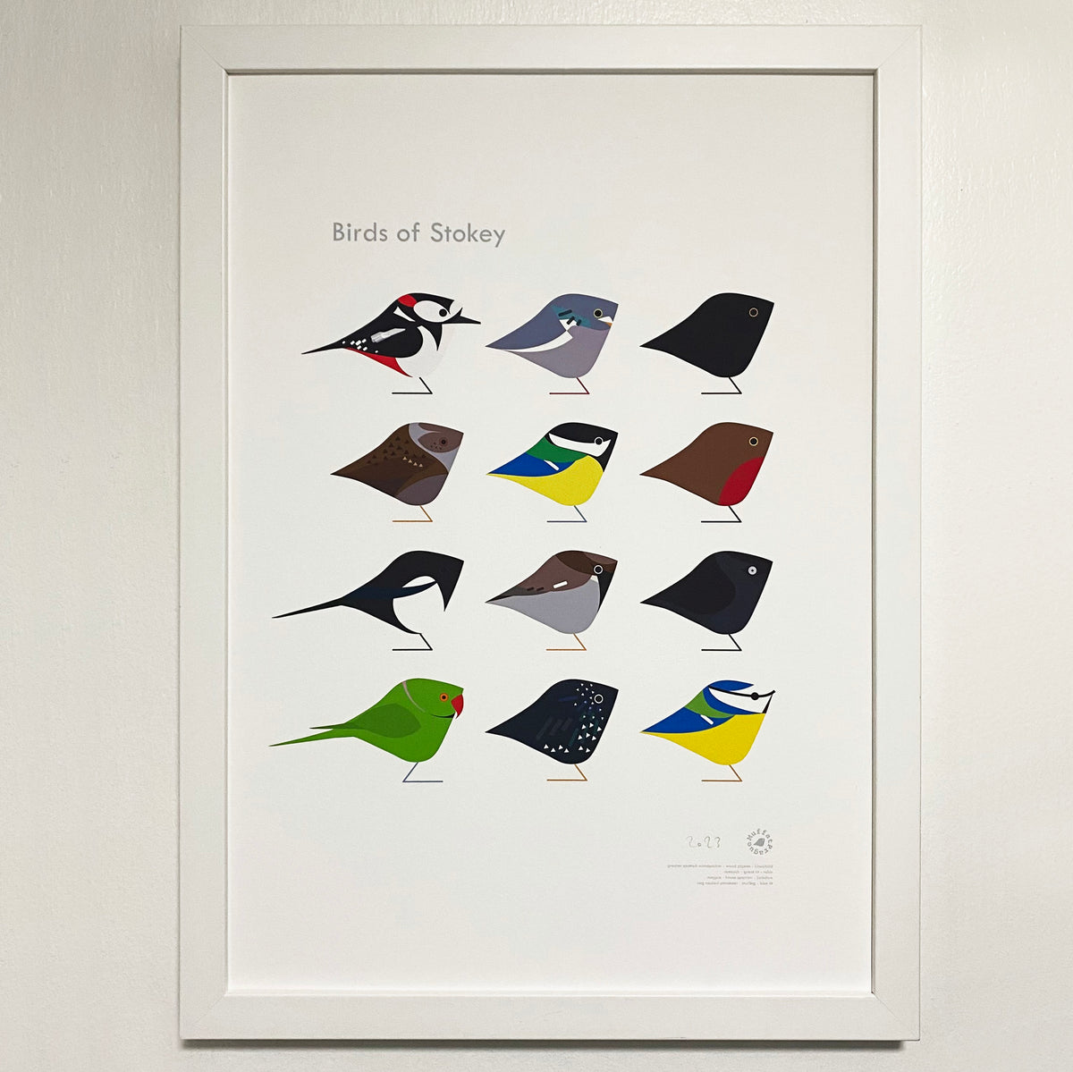 Birds of Stokey Print – Know & Love